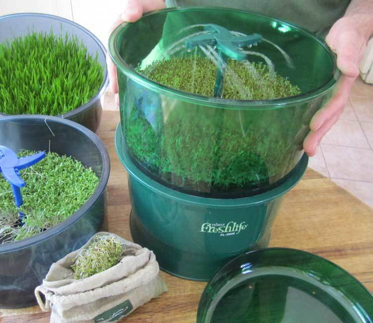 Freshlife 3000 Automatic Sprouter | Sproutman