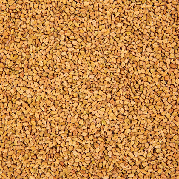 Organic Fenugreek Sprouting Seed | Sproutman