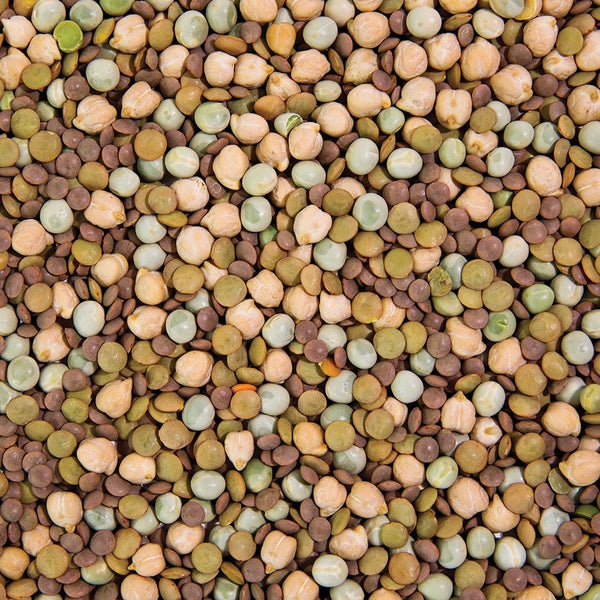 Organic Power Protein Sprouting Seed | Sproutman